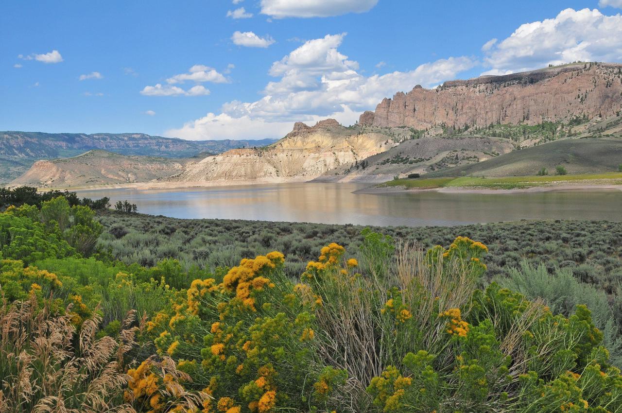 Become a Park Protector® or renew | Western National Parks | Join Park ...