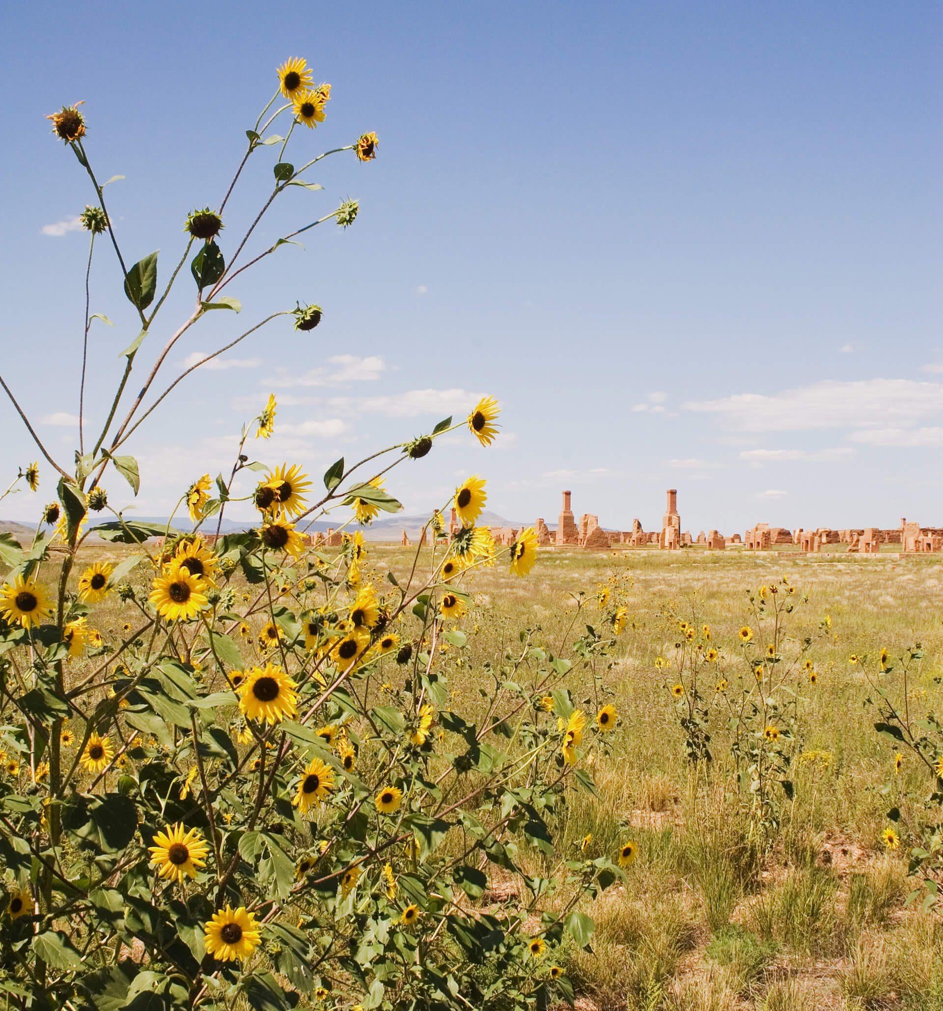 Plan Your Trip along Santa Fe National Historic Trail | Western ...