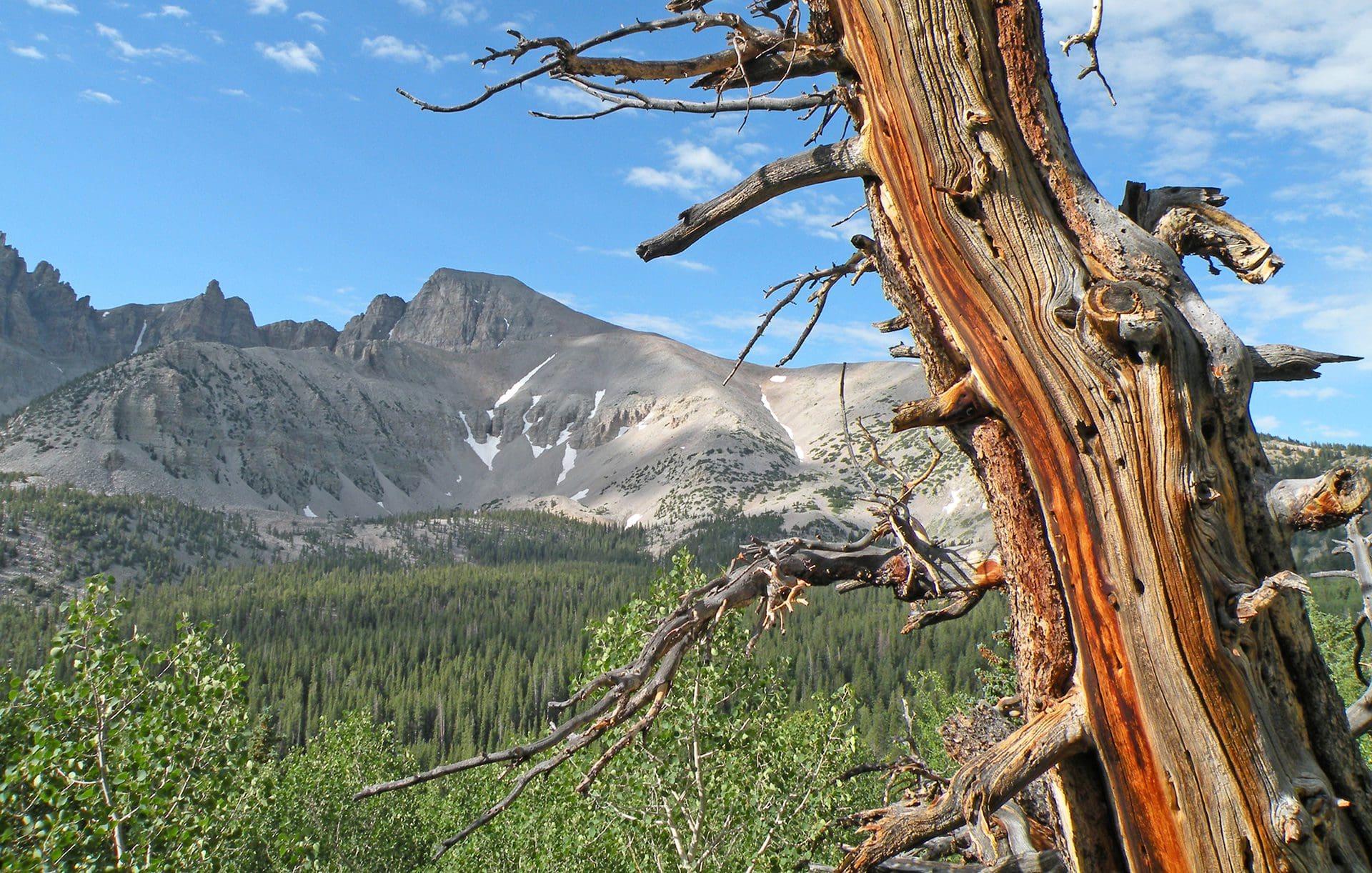 Great Basin National Park | Baker, Nevada Vacation
