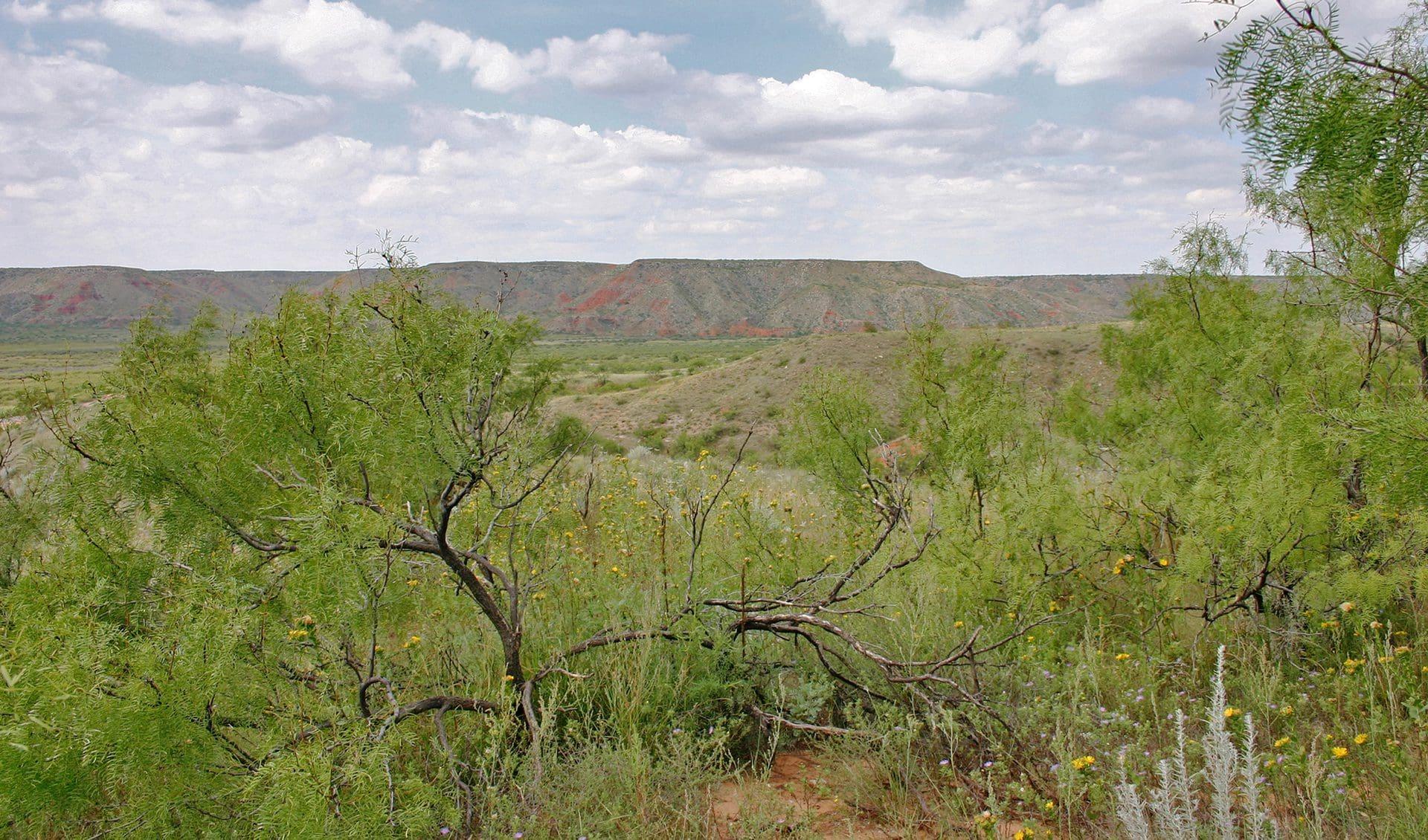 Lake Meredith National Recreation Area | Fritch, Texas Vacation