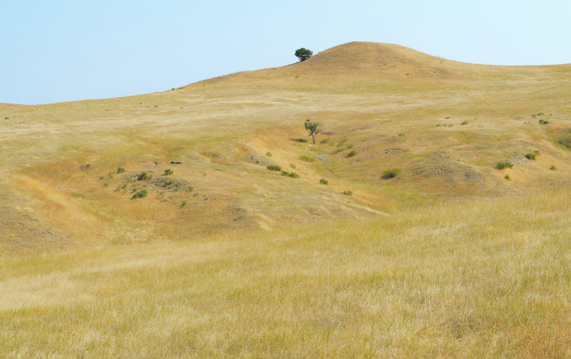 Find the Little Bighorn Battlefield National Monument Visitor Center at ...