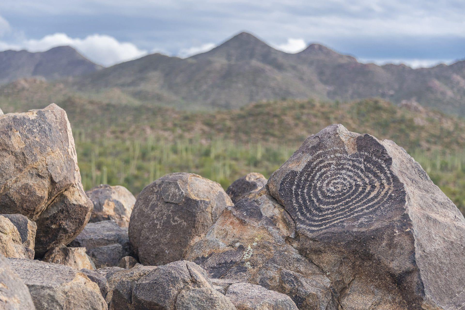 Saguaro National Park | Tucson, Arizona Vacation