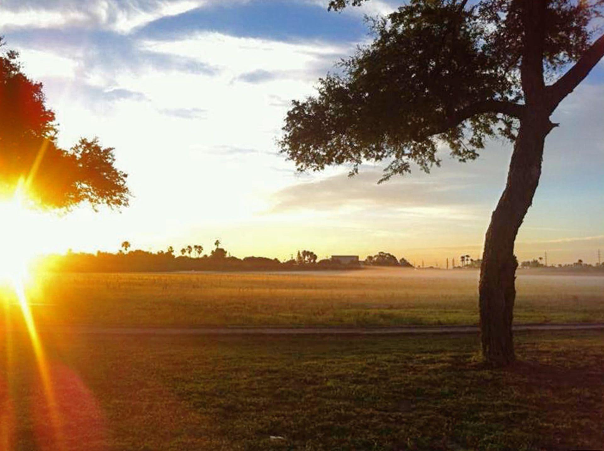 Palo Alto Battlefield National Historical Park | Brownsville, Texas ...