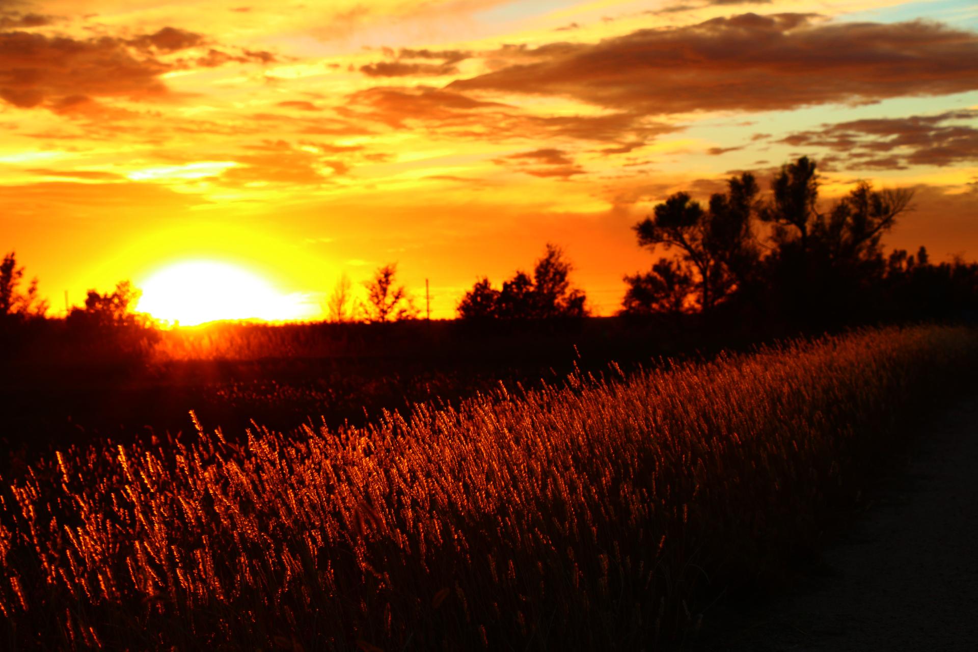 Nicodemus National Historic Site | Bogue, Kansas Vacation