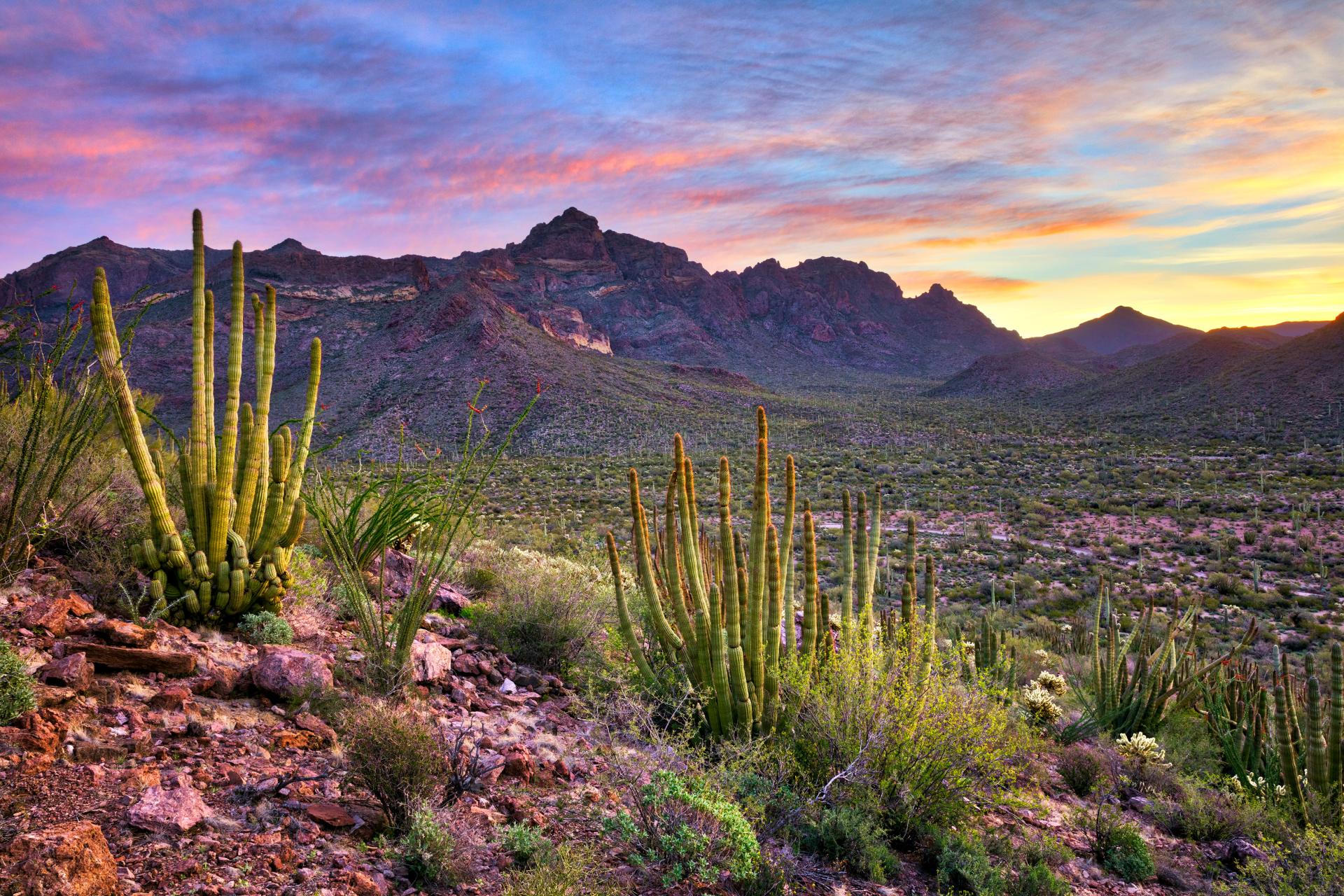 Coronado National Memorial | Hereford, Arizona Vacation