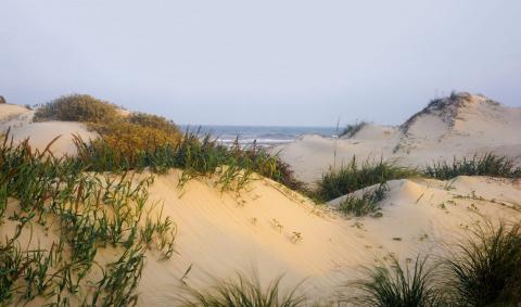 Padre Island National Seashore | Corpus Christi, Texas Vacation