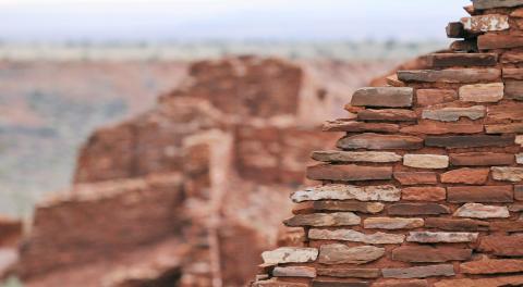 Become a Park Protector® or renew | Western National Parks | Join Park ...