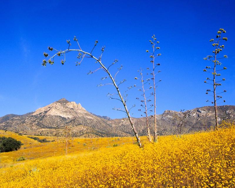 Coronado National Memorial | Hereford, Arizona Vacation